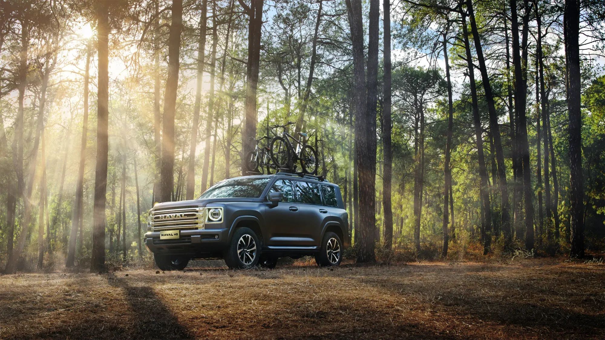 GWM Celebrates 27 Years in the Middle East with Key Milestones