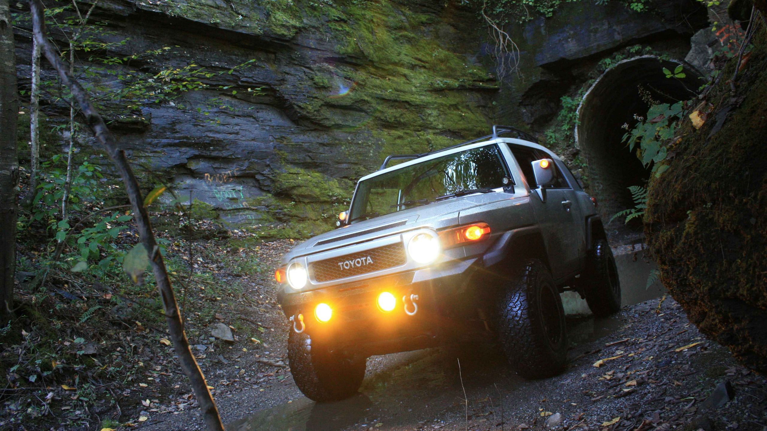 FJ Cruiser Fog Light Smart Solutions for Harsh Conditions