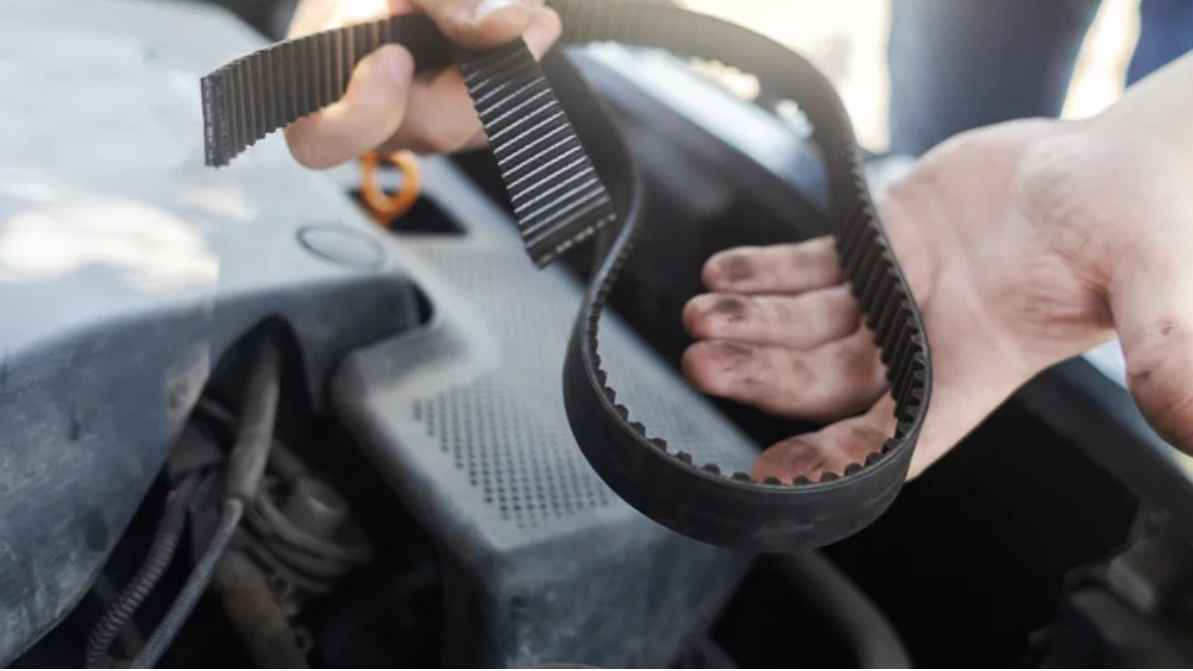 The Belt in the Bath How Wet Timing Belts Became the Engine’s Most ...