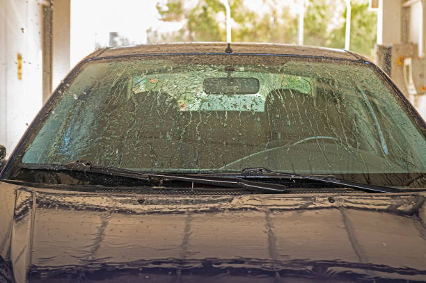 2025 Toyota Corolla Length Smart Dimensions for Modern Drivers